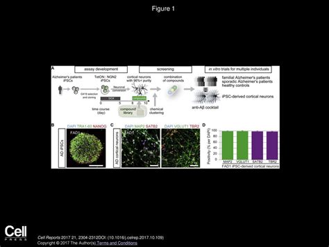 Volume 21 Issue 8 Pages November 2017 Ppt Download