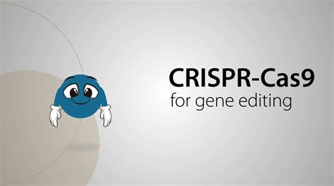 Crispr Screening Services