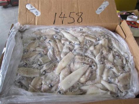 Ruby Li On Linkedin Ca Squid On Sale