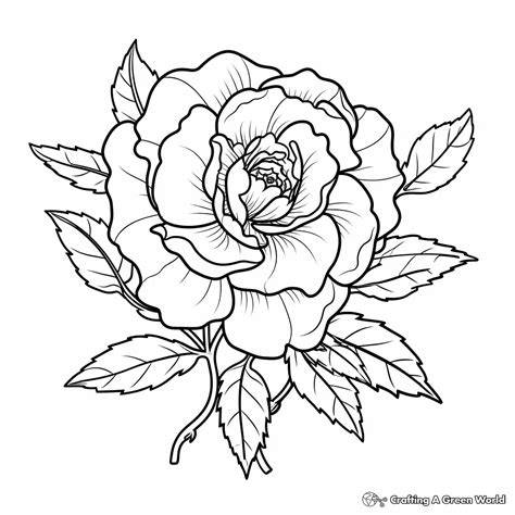 Realistic Rose Coloring Pages Free And Printable