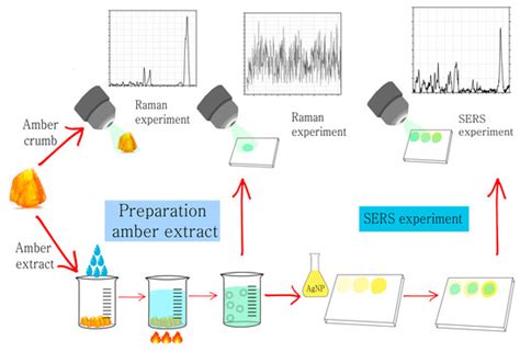 Sensors Free Full Text Determination Of Anthracene Derivatives In Baltic Amber Using Sers
