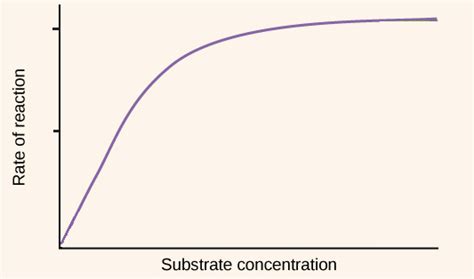 Sketch Graph