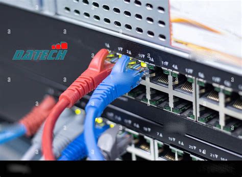 vlans access and trunk links