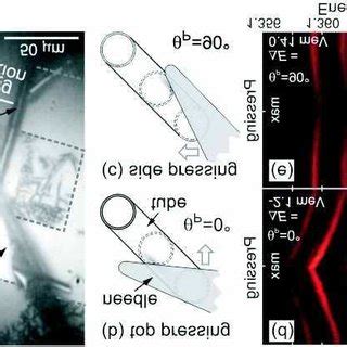 A Optical Microscopy Insight Into The Cryostat A Rolled Up Micro Download Scientific Diagram
