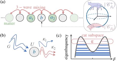 Figure 1 From Dynamical Gauge Fields With Bosonic Codes Semantic Scholar
