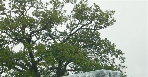 Fusion Inspire Deep In The Rainforests Of Wales Stonehenge Rain