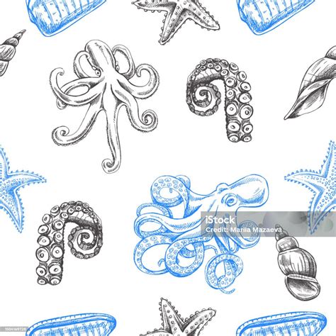 조개껍데기 문어 문어 촉수 이음새가 없는 패턴 손으로 그린 스케치 그림입니다 흰색 배경에 격리된 사실적인 바다 생물 모음입니다 개체 그룹에 대한 스톡 벡터 아트 및 기타