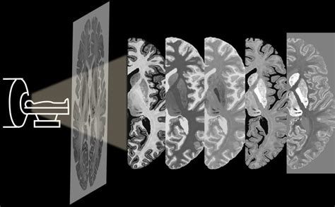 João Jorge Posted On Linkedin