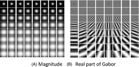 8 Scales And 8 Orientations Of Gabor Filters²⁹ Download Scientific