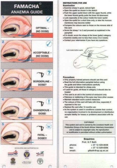 Famacha Chart Goat Info Lambing Record Sheet Goat Grooming Techniques