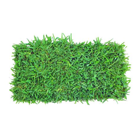 Palmetto® St Augustine Grass Plugs Artificial Plants Decor Artificial Plants Indoor