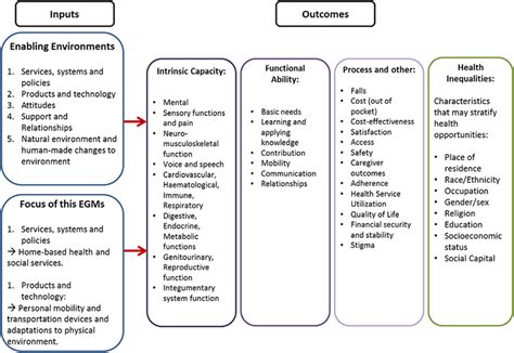 Conceptual Framework Adapted From The Who International Classification Download Scientific