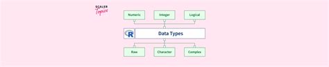 r data types scaler topics