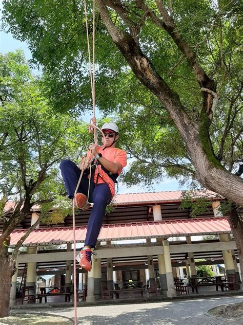 Yilan Tree Climbing Base Tree Climbing Experience Klook