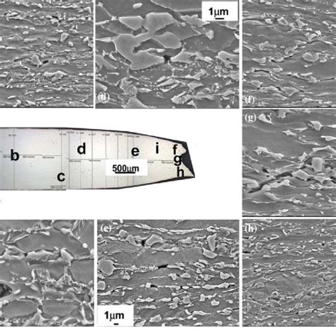 Sem Micrographs Of The Fractured Tensile Samples A Ductile Dimples