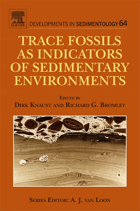 Pdf Trace Fossils As Indicators Of Sedimentary Environments Developments In Sedimentology 64
