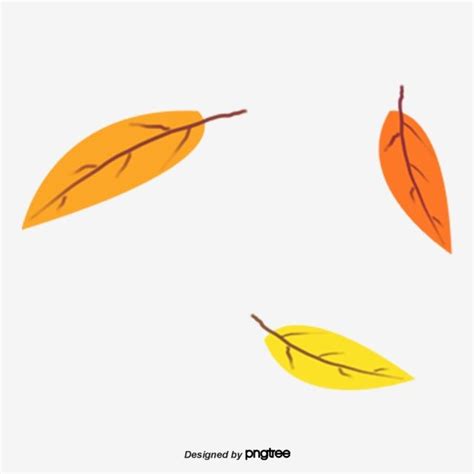 รูปใบไม้ในฤดูใบไม้ร่วง Png การ์ตูน ใบ ฤดูกาลภาพ Png และ Psd สำหรับดาวน์โหลดฟรี Autumn