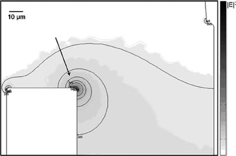 A Two Dimensional Numerical Simulation Of The Electric Field Squared ͉ Download Scientific