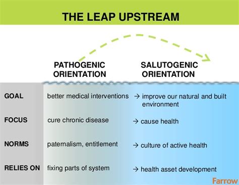 What Is Salutogenesis Model Of Health At Howard Roberts Blog
