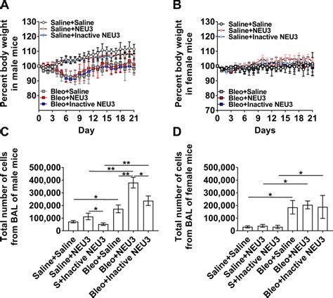 Neu3 Increases The Number Of Bal Cells In Bleomycin Treated Male Mice Download Scientific