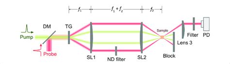 Schematic Of A Representative Isbm Setup Dm Dichroic Mirror Tg Download Scientific Diagram