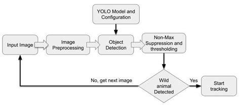 Wild Animal Object Detection Framework Download Scientific Diagram