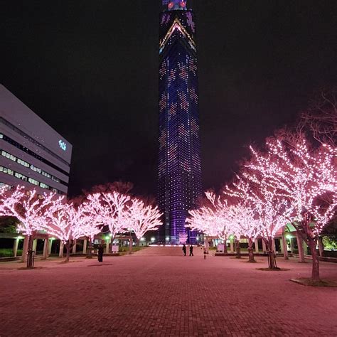후쿠오카 전망대 후쿠오카 타워 전망대 입장권 마이리얼트립