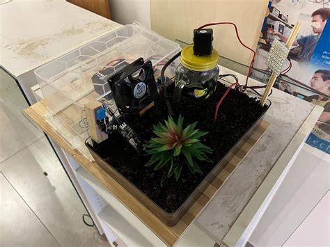 Plants Growing System Diglab