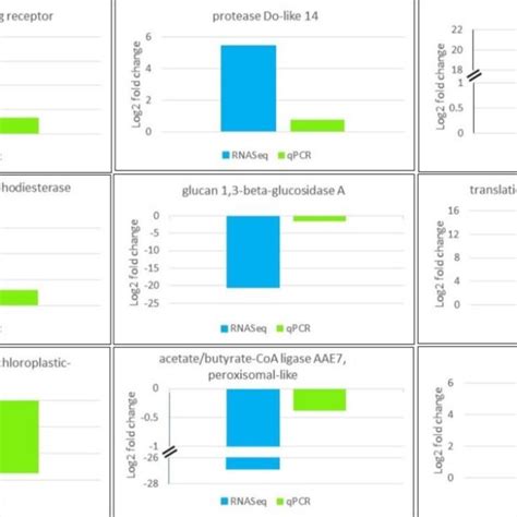 Validation Of Expression Pattern Of Genes Selected From Rnaseq Blue Download Scientific