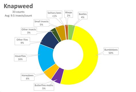 Flower Insect Timed Count Fit Count National Biodiversity Data Centre