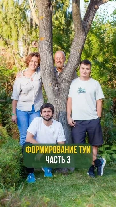 ФОРМИРОВАНИЕ ТУИ. Часть 3 - YouTube