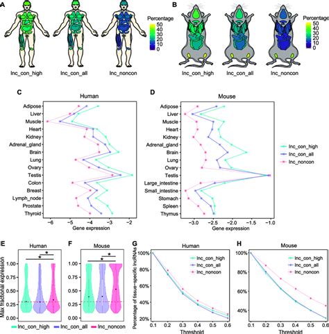 Conserved Lncrnas Are More Widely Expressed Than Non Conserved Lncrnas