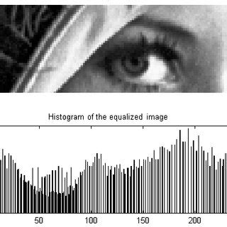 PDF MATLAB Based Image Processing Lab Experiments