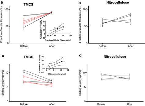 Effect Of Affinity Purification On Actin Filament Motility In The In Download Scientific