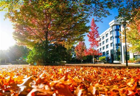 How To Install The Rust Programming Language On Linux Ceoworld Magazine