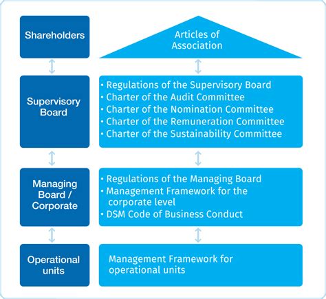 governance framework dsm annual report