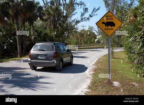Gopher Tortoise Sign On Dunlop Road Sanibel Island Florida United