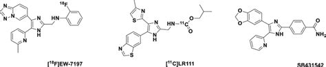 Molecular Structures Of The Alk5 Targeting Pet Tracers ¹⁸f Ew 7197