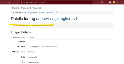 Self Host A Docker Registry Linux And Cybersecurity In South Australia