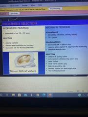 ECHO PATH 1 FINAL Quizlet