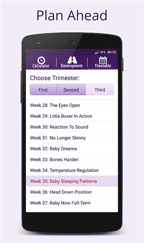 First Time Pregnancy Apk For Android Download