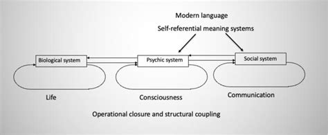 Luhmanns Systems Theory Download Scientific Diagram