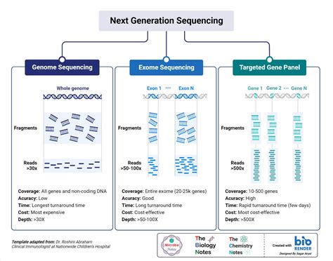 Next Generation Sequencing Ngs Definition Types Microbiologystudy