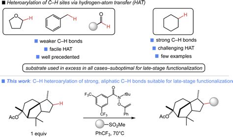 Heteroarylation Of Ch Bonds For Late Stage Functionalization Download Scientific Diagram