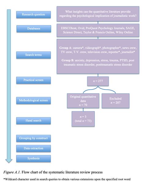 Prisma Flow Diagram Scoping Review Template