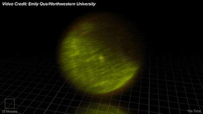 Sciencefriday Tumblr Com Tumbex