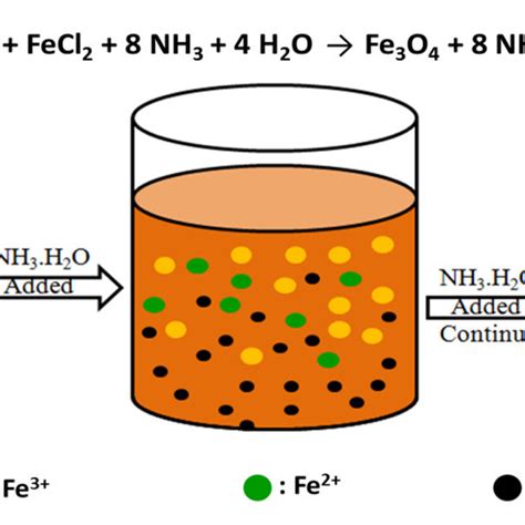 Synthesis Of Fe3o4 Nanoparticles By Ex Situ Co Precipitation Method Download Scientific
