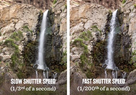Using A Higher Shutter Speed To Take Some Close Up Shots