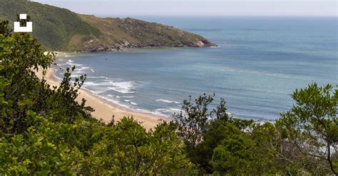 바다가 내려다 보이는 언덕에서 해변의 전망 사진 Unsplash의 무료 바닷가 이미지