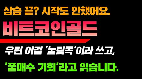 상승 끝 시작도 안했어요 비트코인골드 우린 이걸 눌림목이라 쓰고 풀매수 기회라고 읽습니다 비트코인골드 비트코인